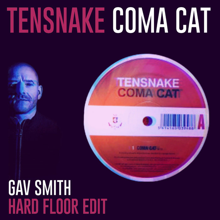 Tensnake - Coma Cat Hardfloor Edit | GavSki