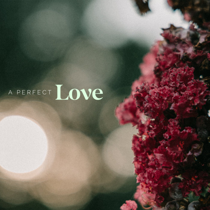 A Perfect Love | Jessie Duke & Nick Duke | Nick Duke