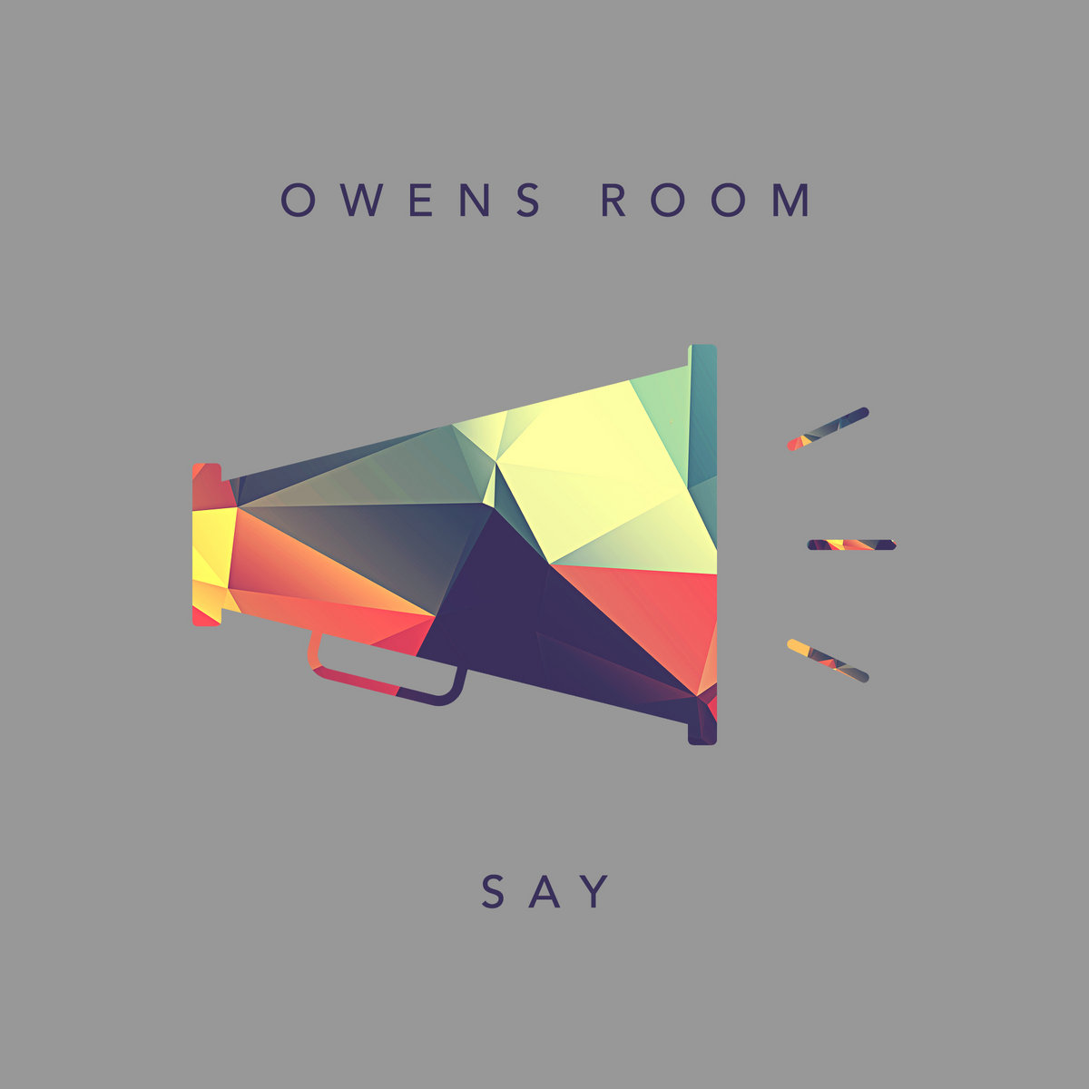 Say - Single | Owens Room