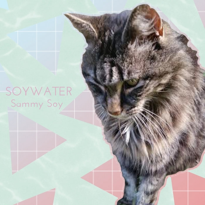 Sammy Soy | SOYWATER | Sammy Soy