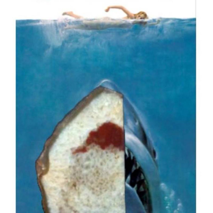 Shark Rock | Sharkrock