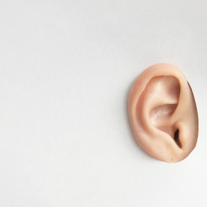 Ear Food | Sophie Ellen's Tales