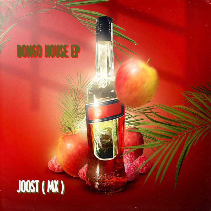 BONGO HOUSE EP | Joost (MX)