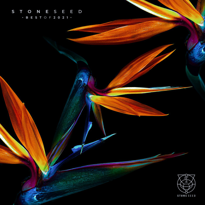 Stone Seed • Best Of 2021 | Various Artists | Stone Seed