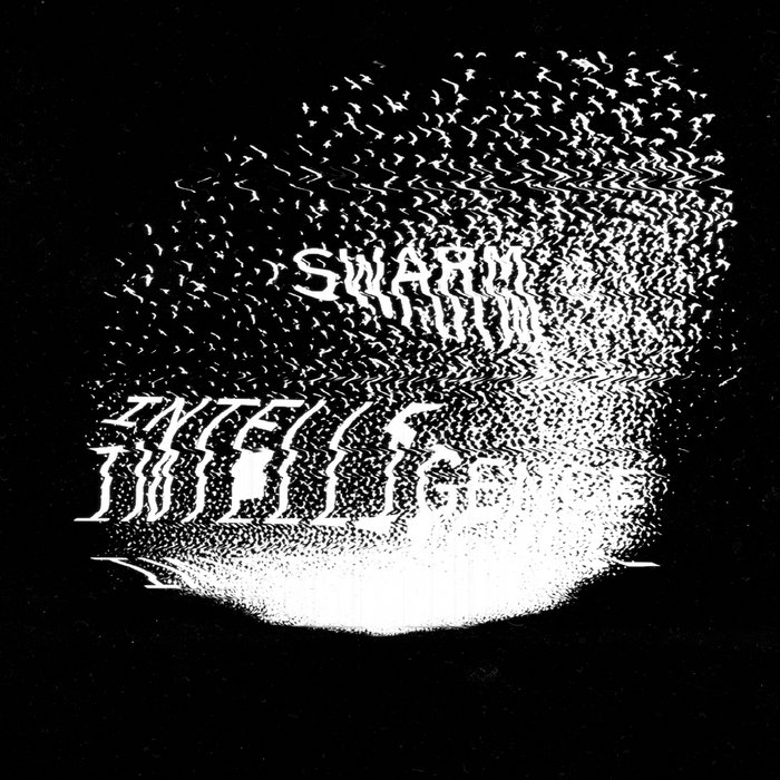 Swarm Intelligence 002 | Swarm Intelligence