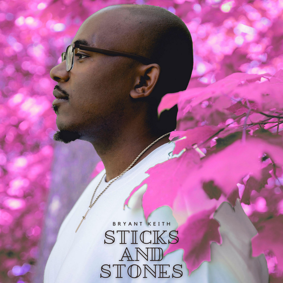 Sticks and Stones | BRYANT KEITH | Bryant Keith