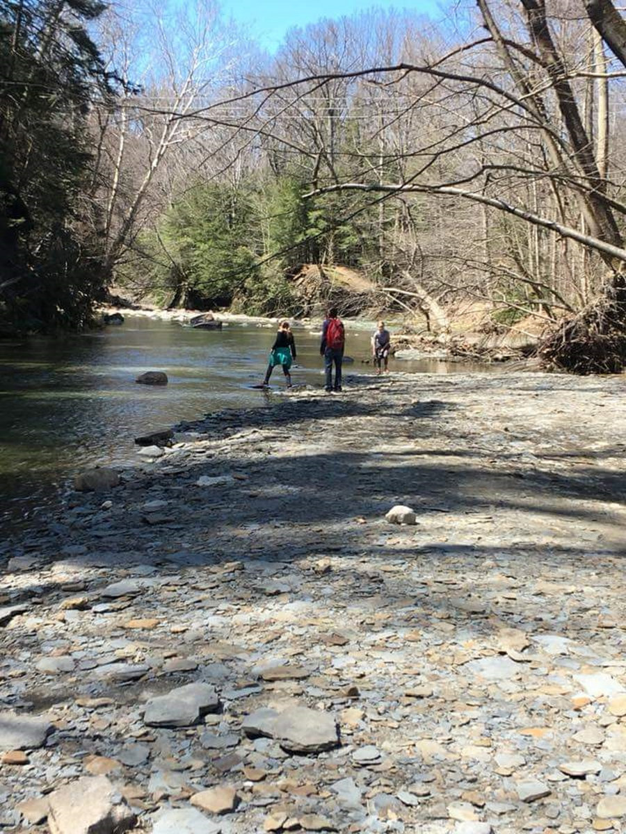 You Are My Sunshine | Colette Bone