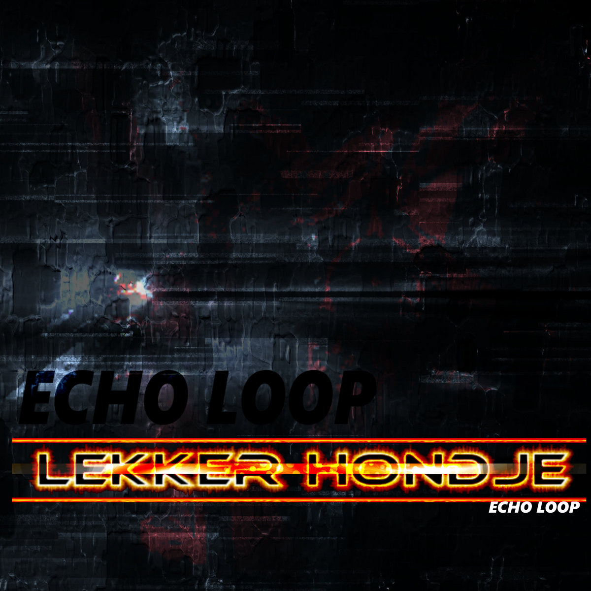 Lekker Hondje - Echo Loop | Lekker Hondje | lekkerhondje
