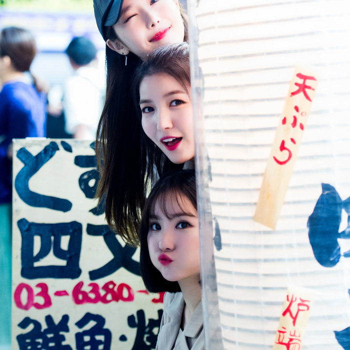 Zoikhem Lab Collection | Zeryger | eharcirho