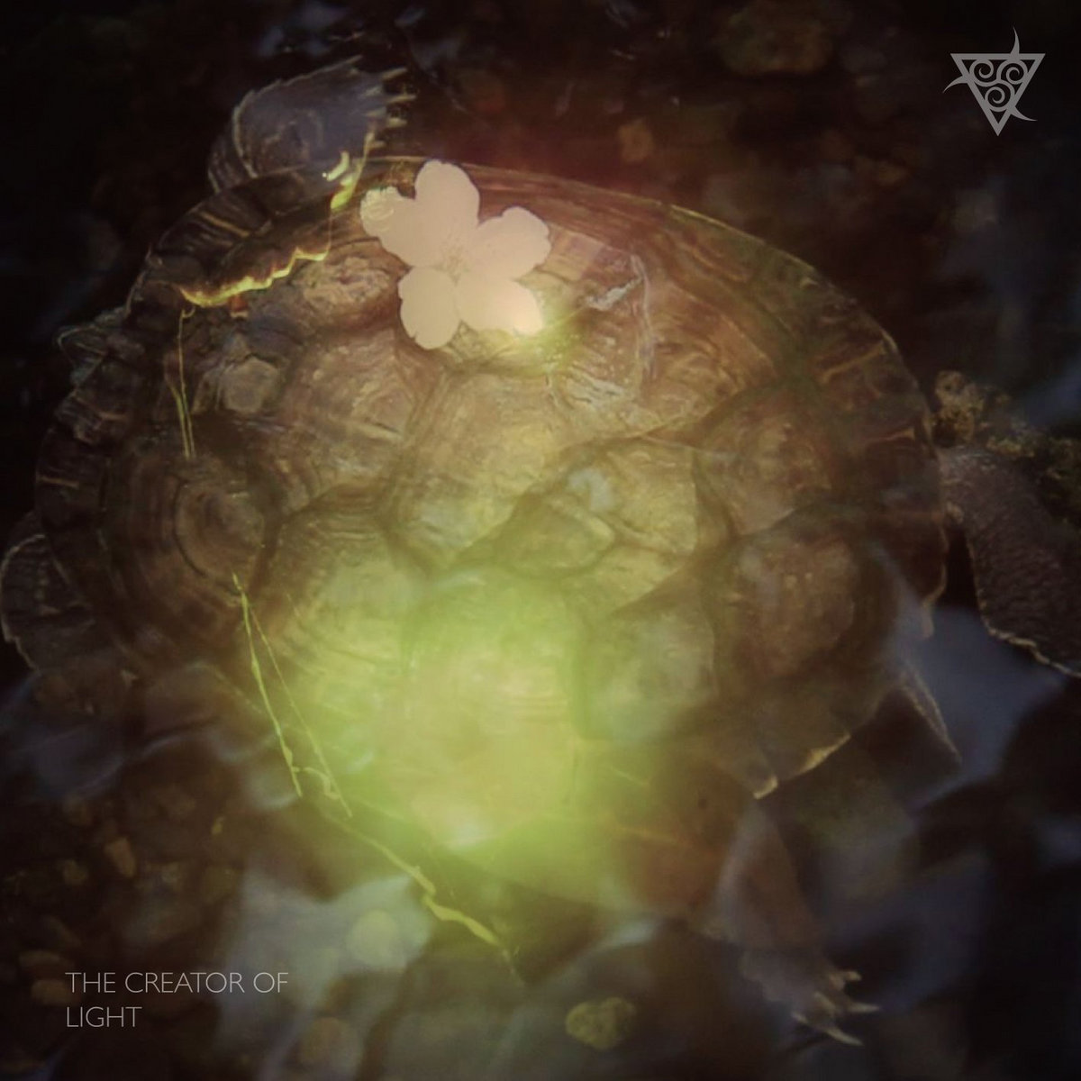 The Creator Of Light