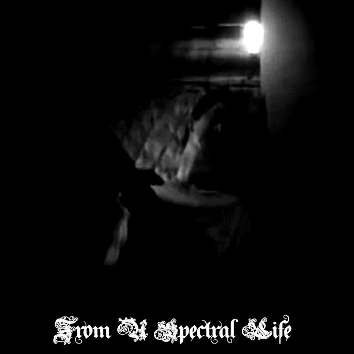 Nostalgia (Nocturnal Depression guitar cover) | From A Spectral Life