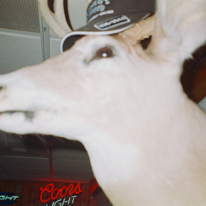 in delaware | Nancee Kelly | nancee kelly