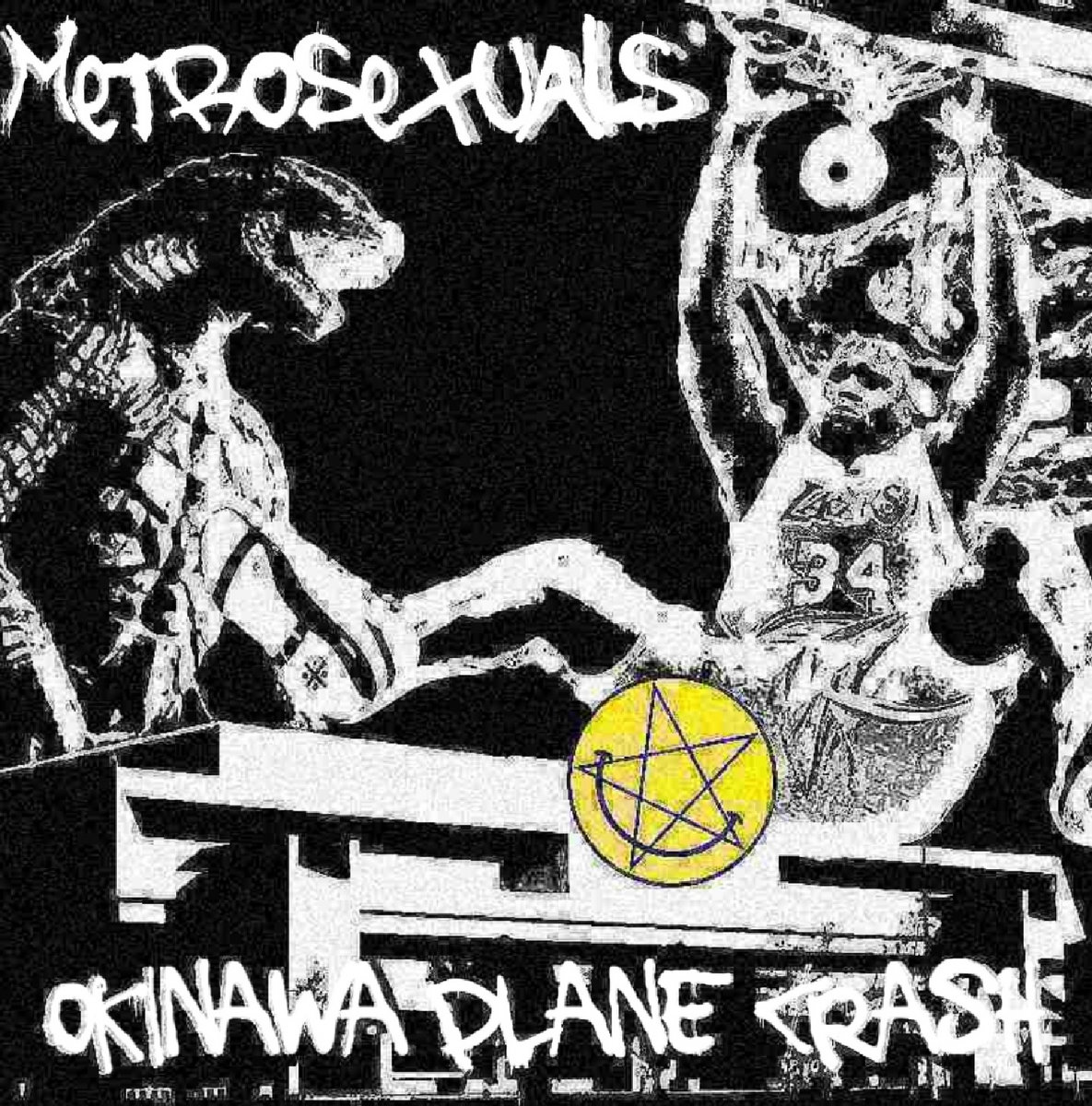 METROSEXUALS (demo) | Okinawa Plane Crash