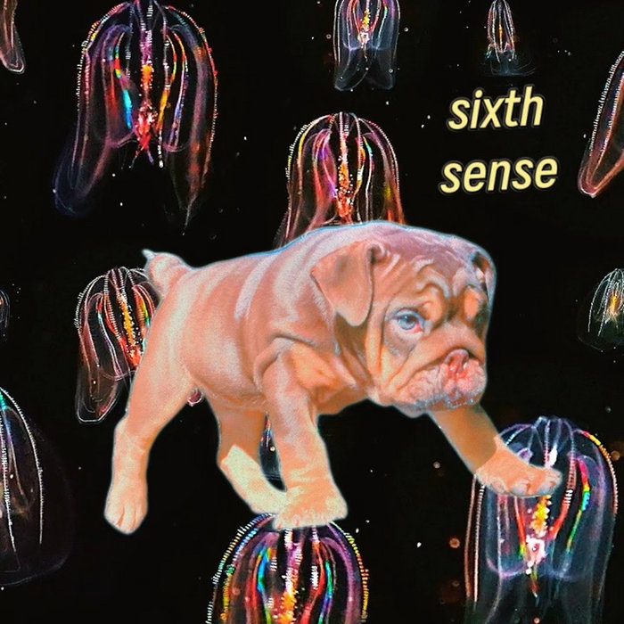 sixth sense | Pale Oracle