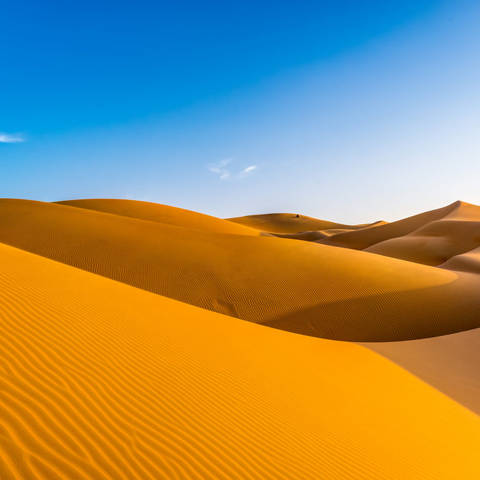 Desert Theme | Evan Davis