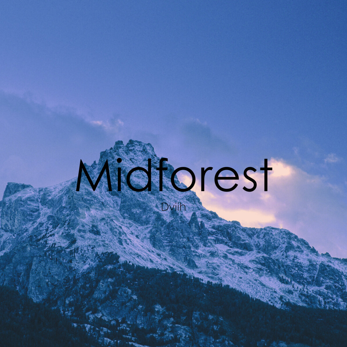 Midforest | Dviih
