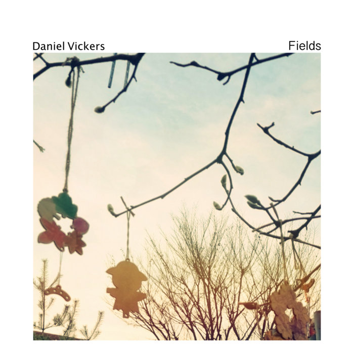 Fields | Daniel Vickers