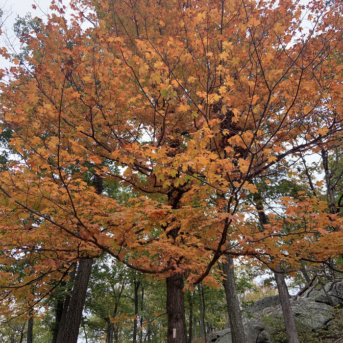 Wiser EP | Marion Kaiser