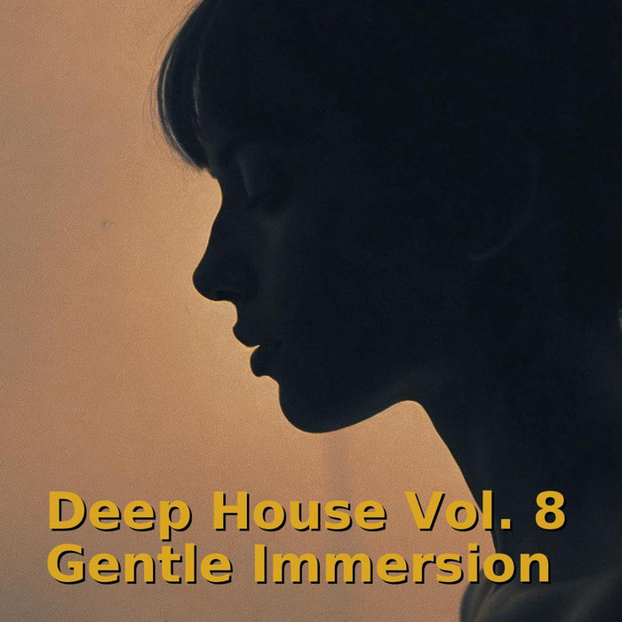 Deep House Vol. 8 Gentle Immersion | Stylo B