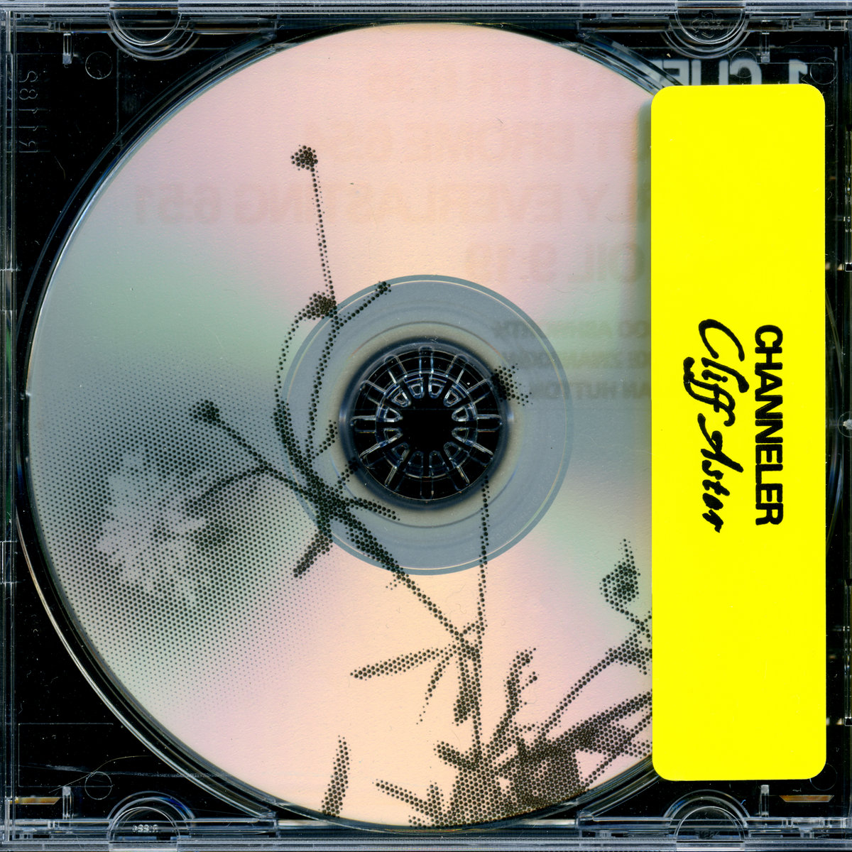 Cliff Aster | Channeler