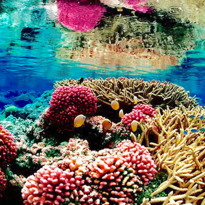 En Suite | john pearce | Family Fodder