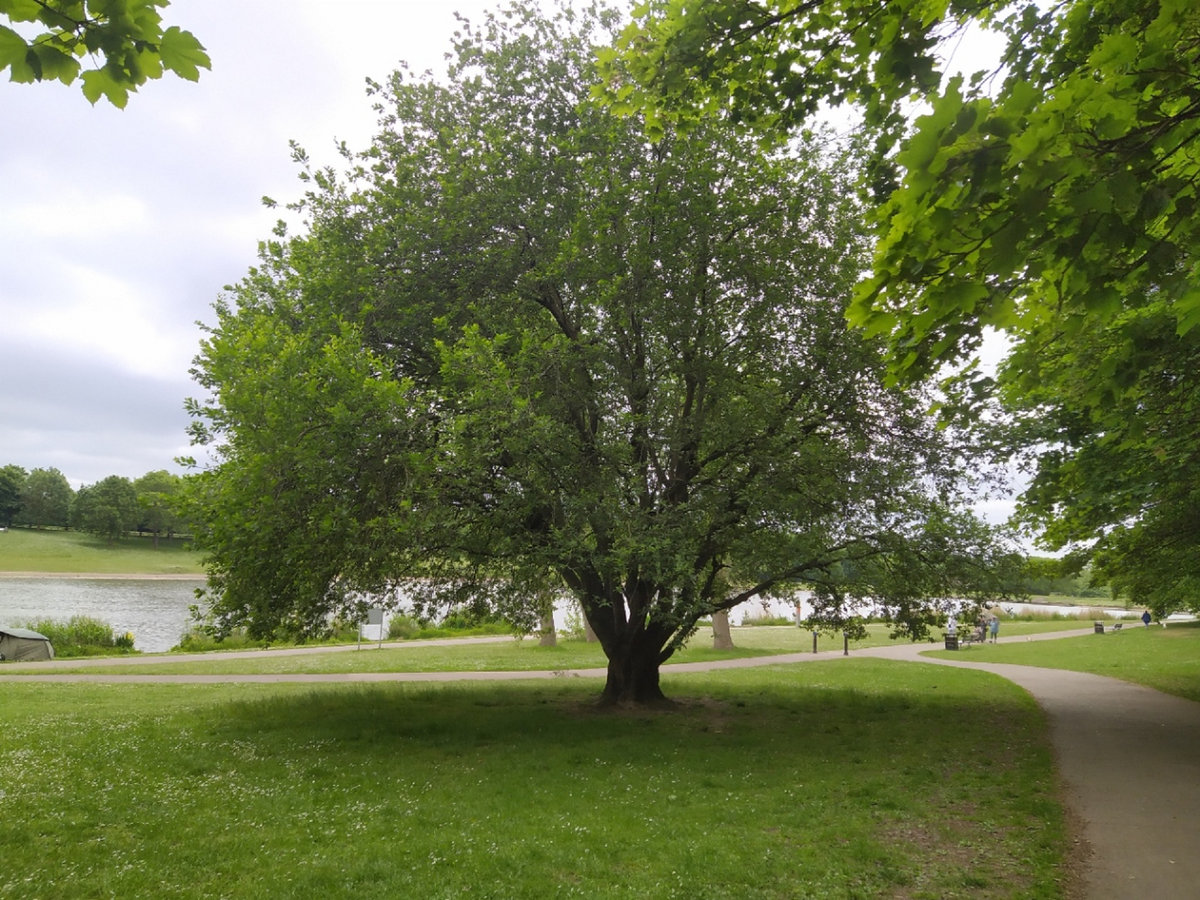 Mama Nature | Hillfire Dol, Aka, Mr Sean P. Ransom | Hillfire Dol, Aka ...