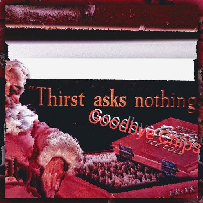 Thirst Asks Nothing | Goodbye Chips | 12 tubes of chips