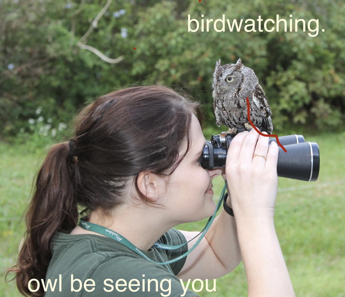 owl be seeing you | birdwatching.