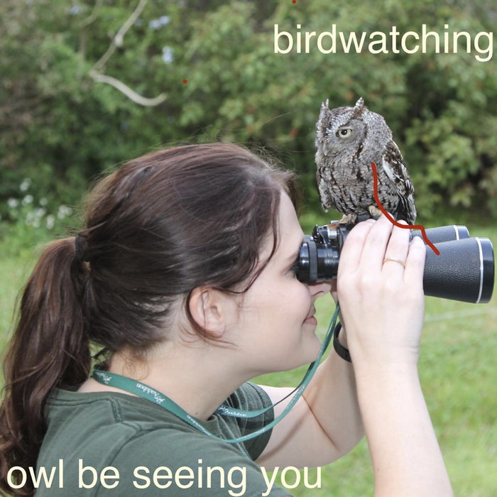 owl be seeing you | birdwatching.