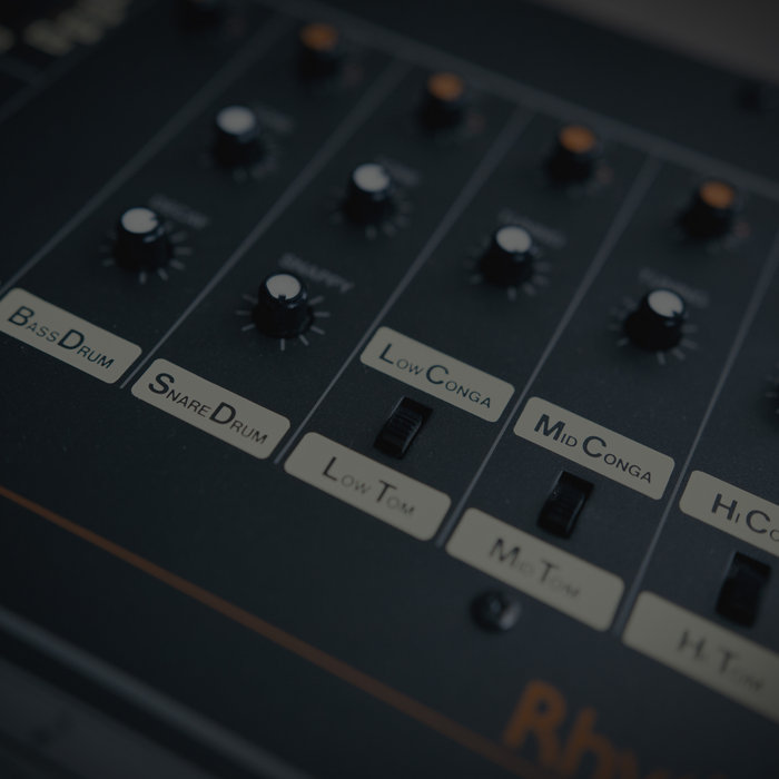 Roland TR-808 (Snare Drum sound library) | theBINDING