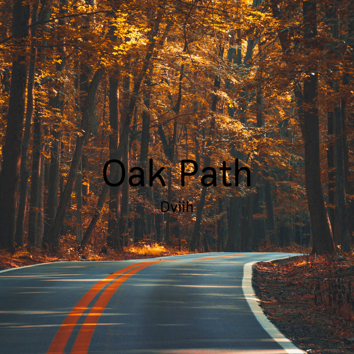 Oak Path | Dviih