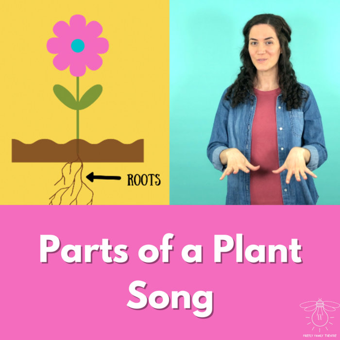 Parts of a Plant Song: Roots, Stem, Leaves, Flower | Firefly Family Theatre