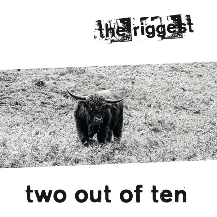 two out of ten | the riggest