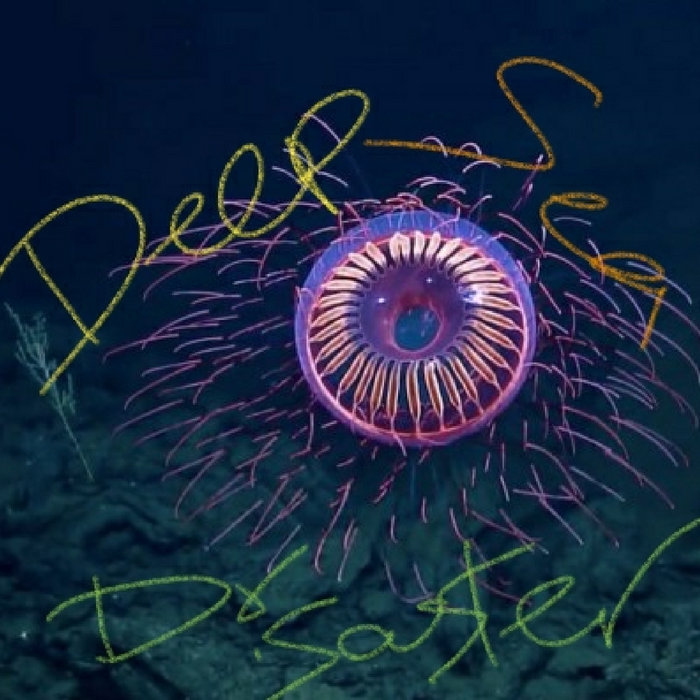 Deep Sea Disaster | Terbeschikkingstelling