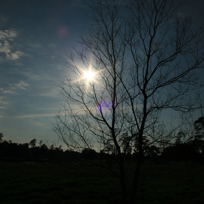 The Last Leaf to Fall | Deh Poet and Myth | Myth