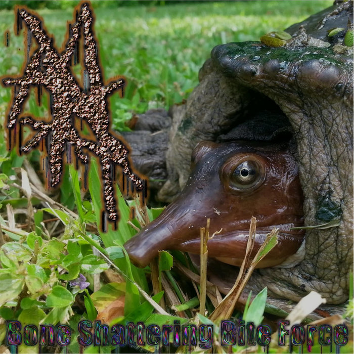 Bone Shattering Bite Force | Amygdala Atrophy | Beerbufo Bullfrog