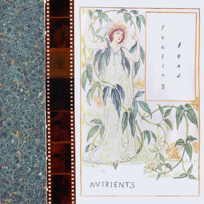 feeling fond | nutrients