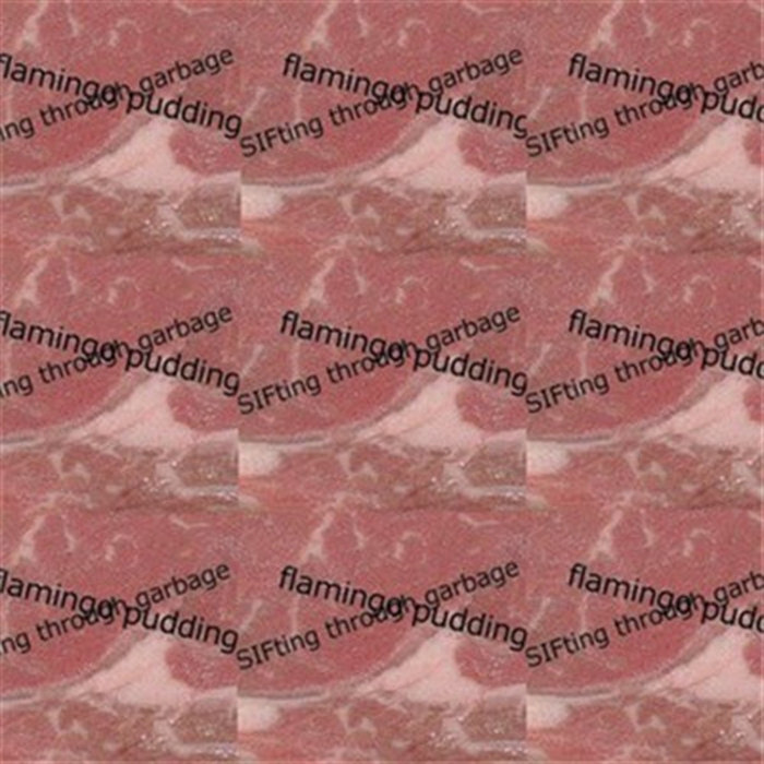 Sifting Through Garbage | Flamingo Pudding