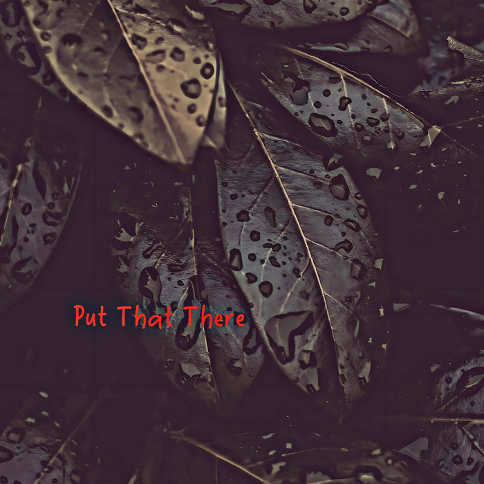 Put That There | Wendy Edgell