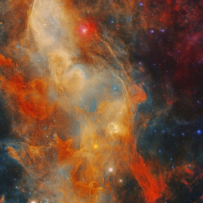 New Constellation | Killanova