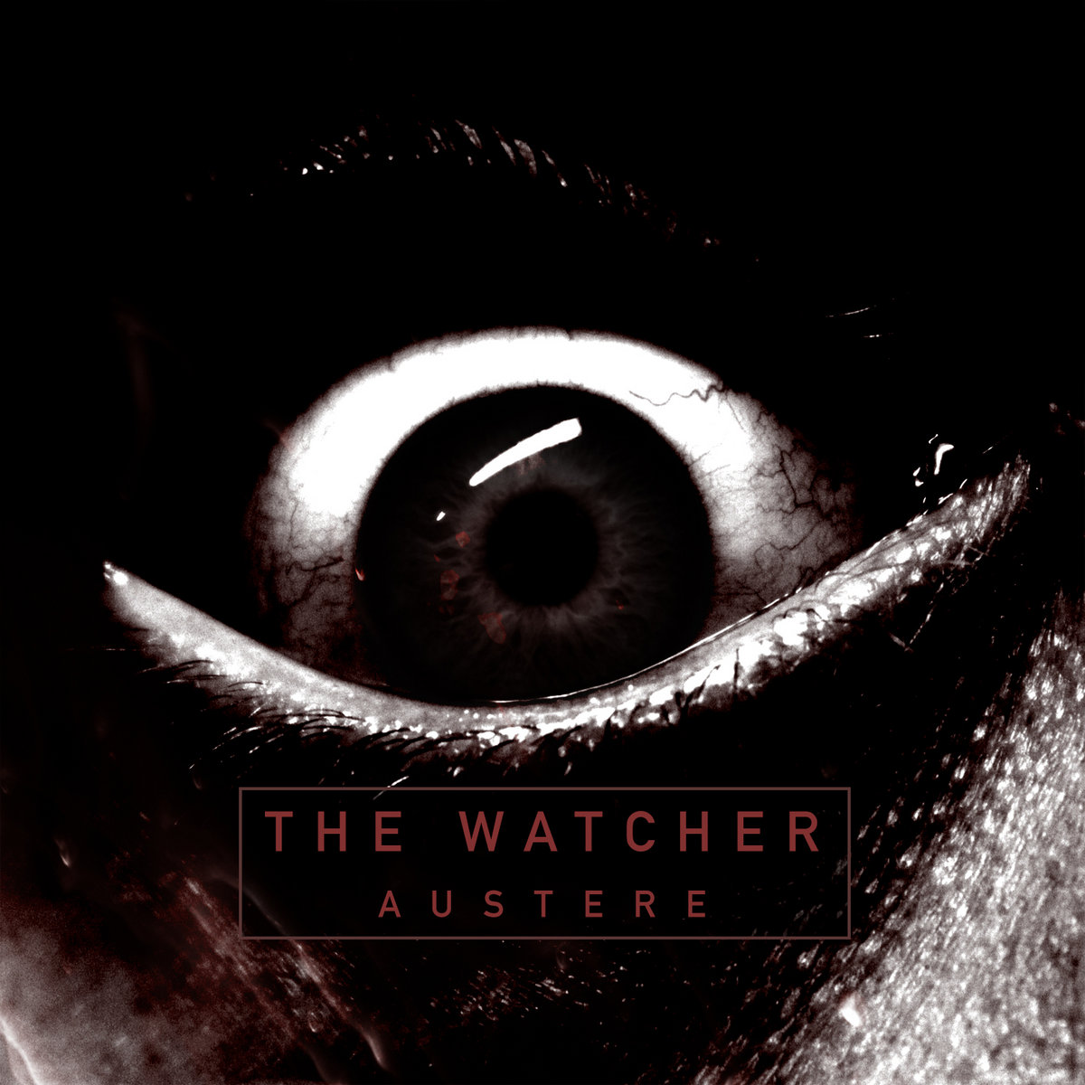 The Watcher | Austere
