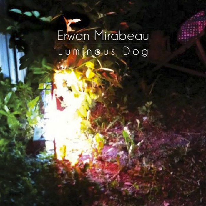 Luminous Dog | Erwan Mirabeau | erwan mirabeau