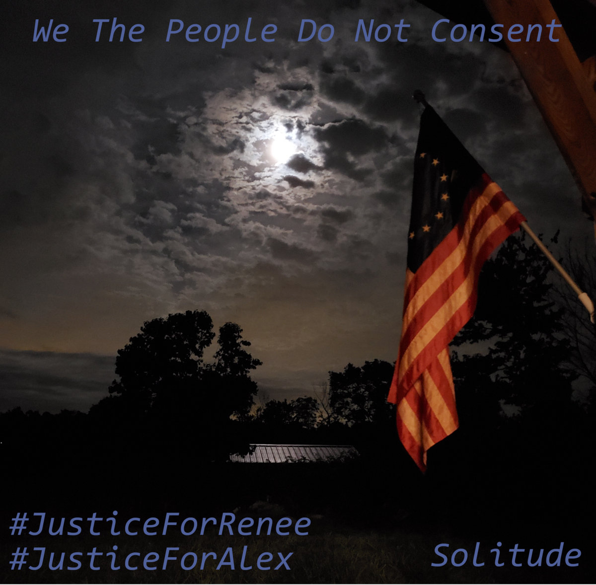 We The People Do Not Consent - For Renee and Alex | Solitude