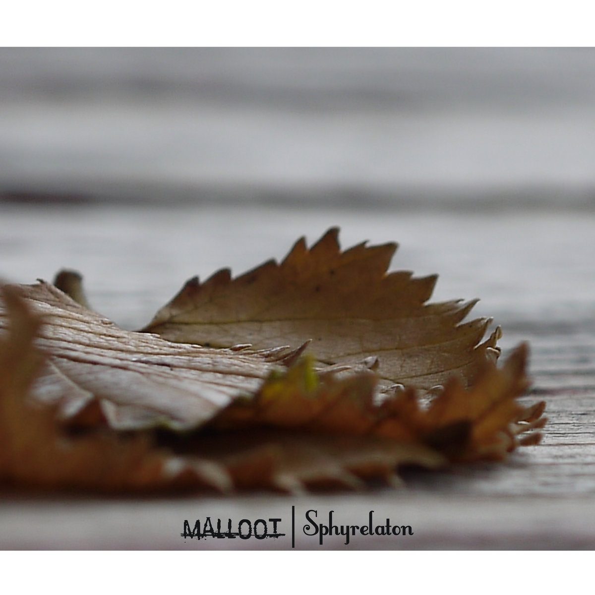 Sphyrelaton (album) | Malloot | i am a freak