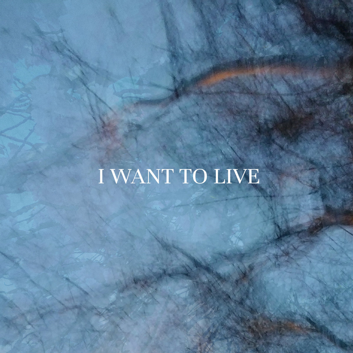 I Want To Live | Kez Liddle