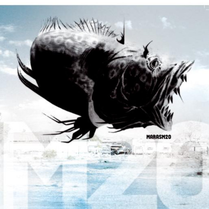 MARASM20 | marasm label