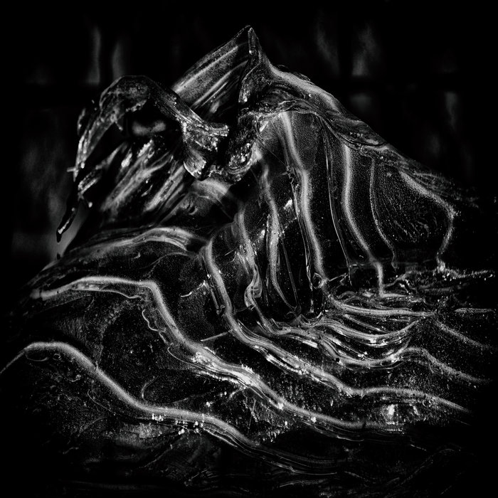 fiebertraum | stefan schmidt