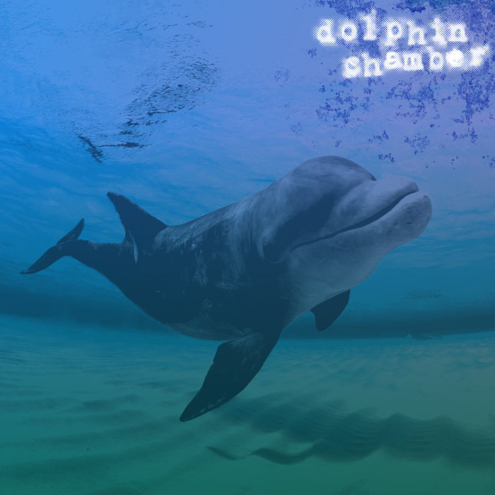 Dolphin Chamber | Seabomb