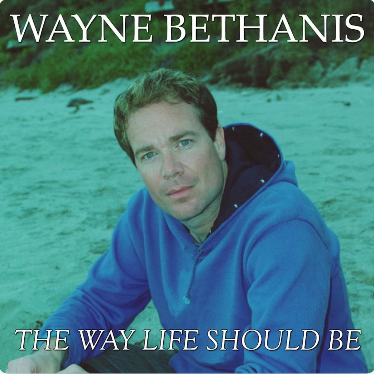The Way Life Should Be | Wayne Bethanis