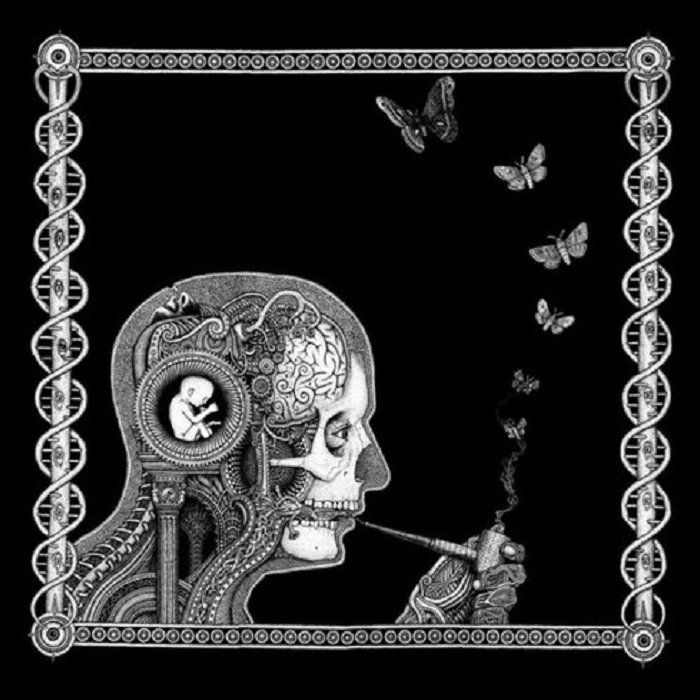 Individual Thought Patterns | Individual Thought Patterns